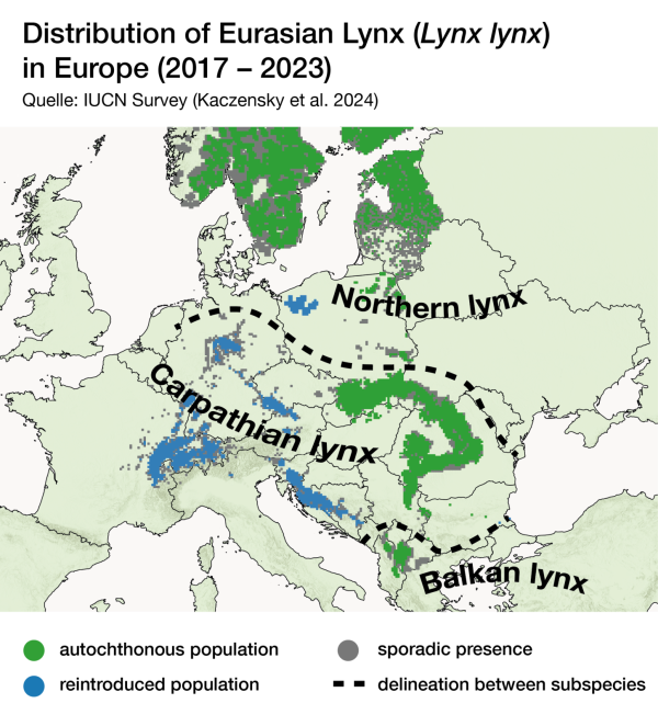 Linking Lynx | Linking Lynx